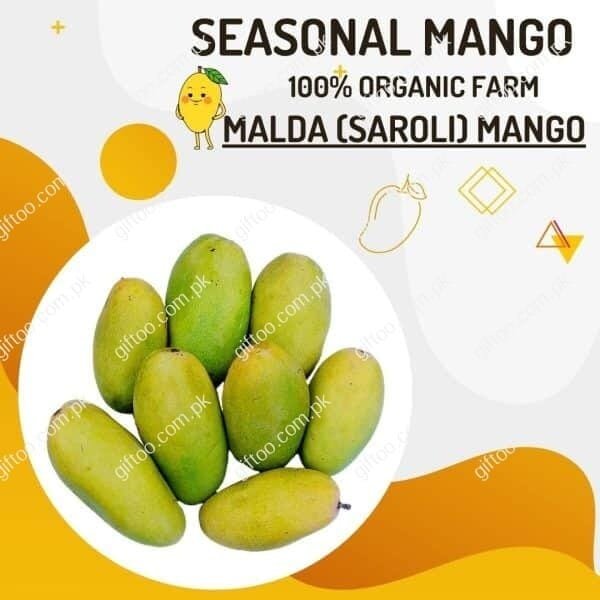 Malda (Saroli) Mango | Send Gifts To Pakistan | Giftoo No-1 Gift ...