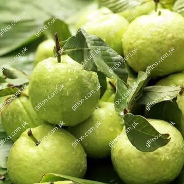 Premium Quality Guava Fruit | Send Gifts To Pakistan | Giftoo No-1 Gift ...